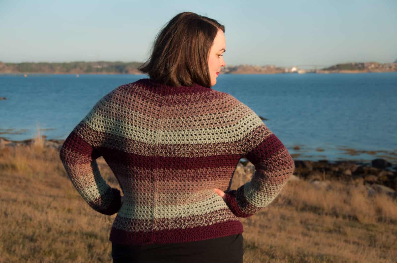 Top Down Winter Sweater - FREE Crochet Pattern
