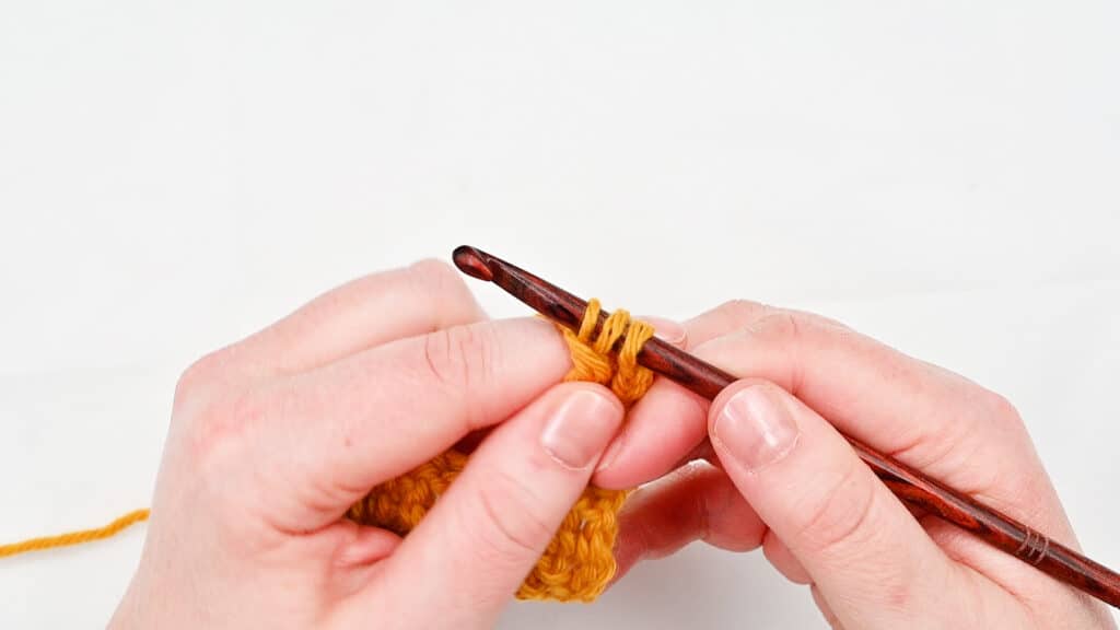 Quadruple Treble Crochet Stitch(qtr) in 4 Easy Steps (📸+📹)