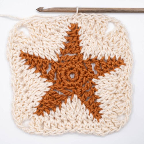 How to Crochet a Star Granny Square - Free Easy Step by Step