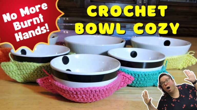 20+ Best Free Bowl Cozy Crochet Patterns