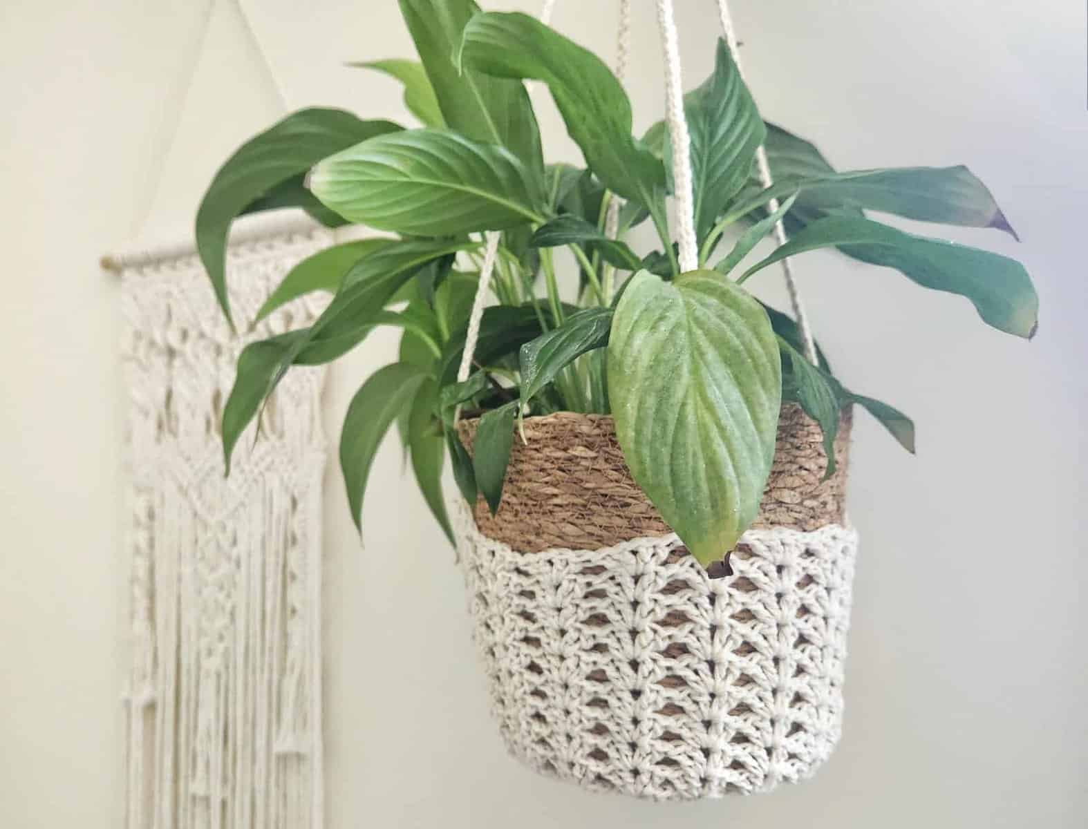 20+ Free Crochet Plant Hanger Patterns